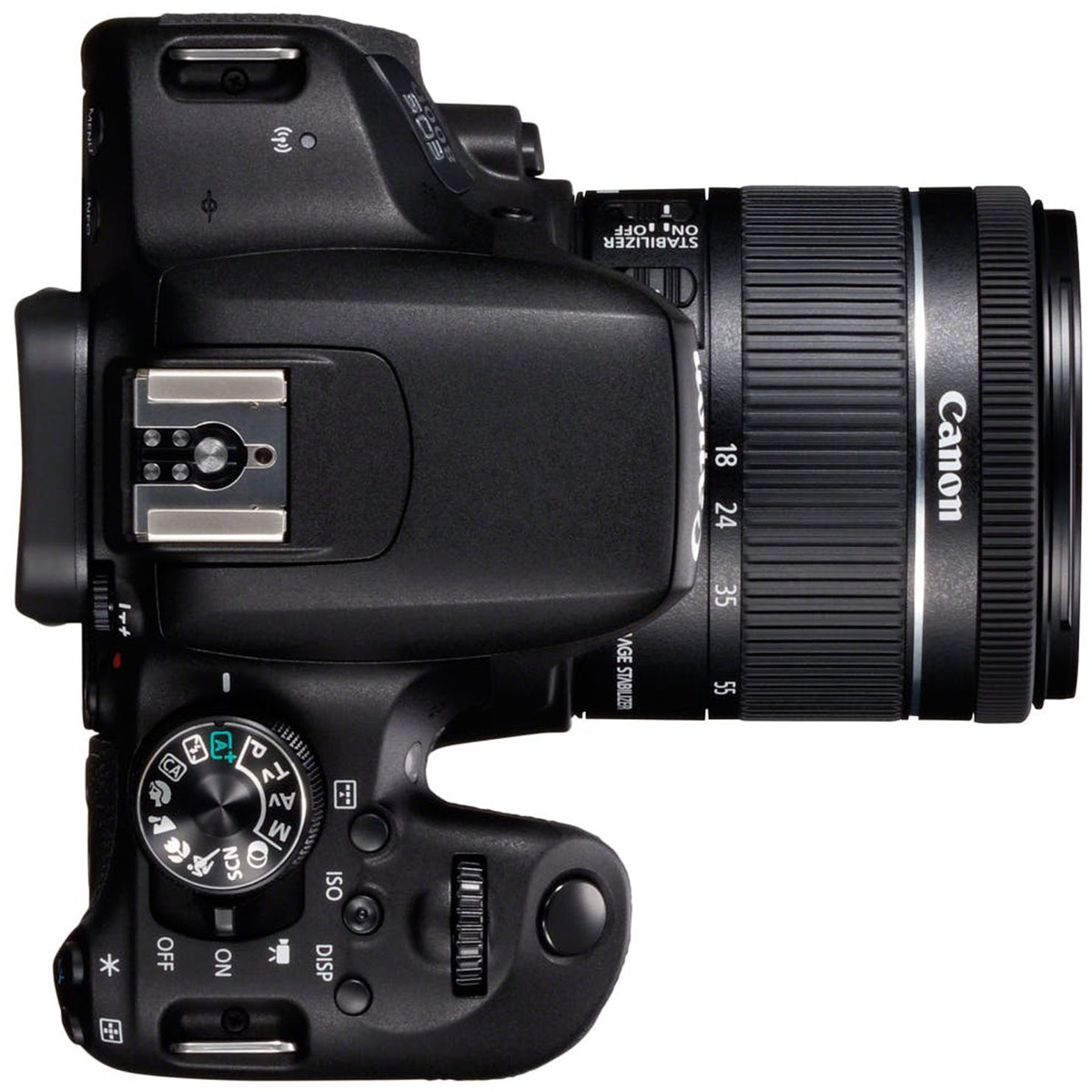 Canon 800D - Body Only 800D | Photoshack | New Zealand